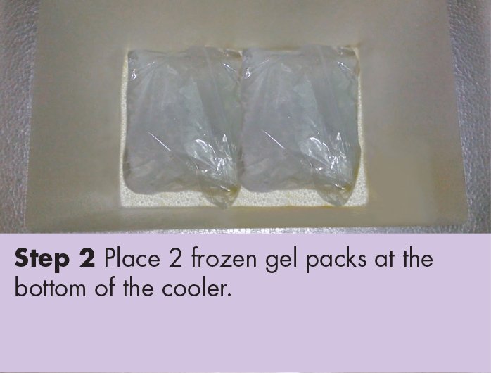 How to fit 440 ounces of breastmilk in Prolacta coolers - Prolacta ...