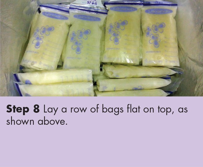 How to fit 440 ounces of breastmilk in Prolacta coolers - Prolacta ...